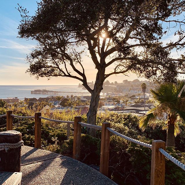 See Our Photo Contest's Winning Image! | City of Capitola California