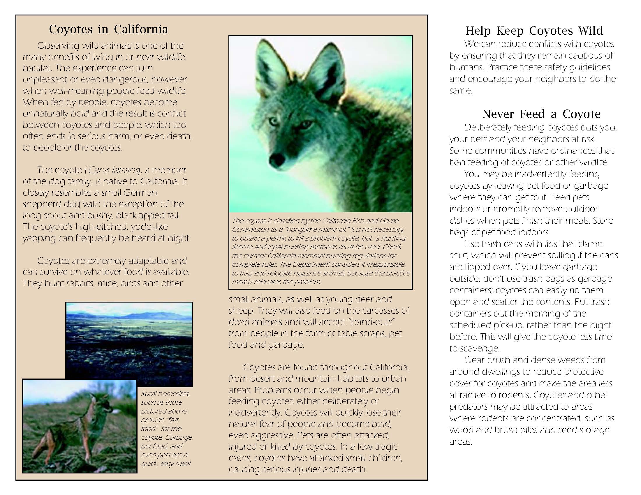 Living with Coyotes in Capitola | City of Capitola California